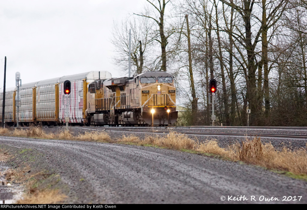 Picture Categories: Action